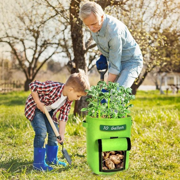 vigor | Other | Perfect Gift Double Thickened Felt Potato Grow ...